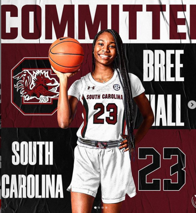 South Carolina’s basketball junior guard Bree Hall was named to the ...