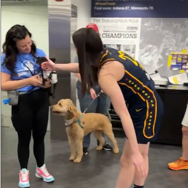 Caitlin Clark surprised by dogs during practice before Indiana Fever ...