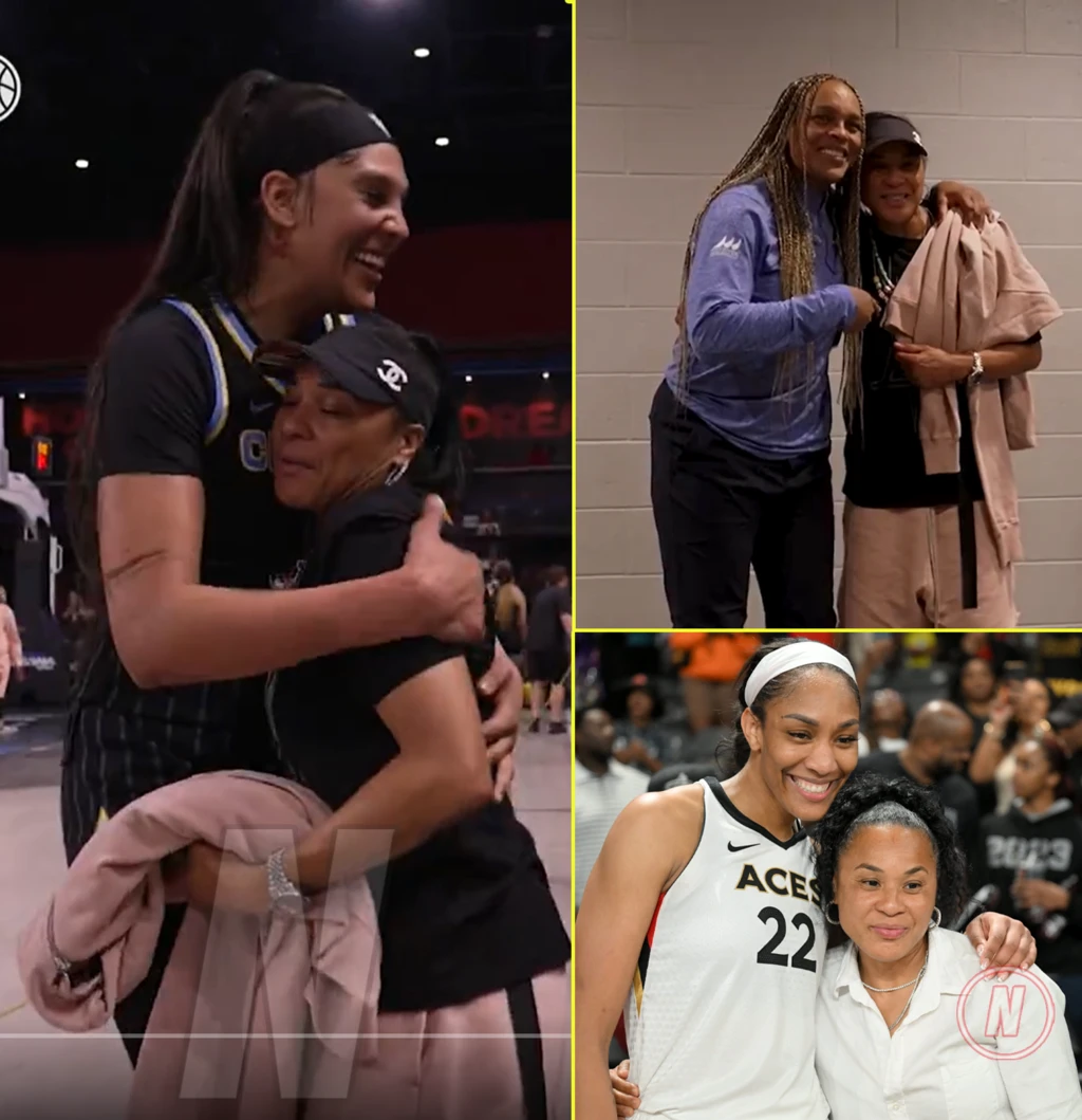Dawn Staley sat courtside to watch three former Gamecocks play in WNBA ...