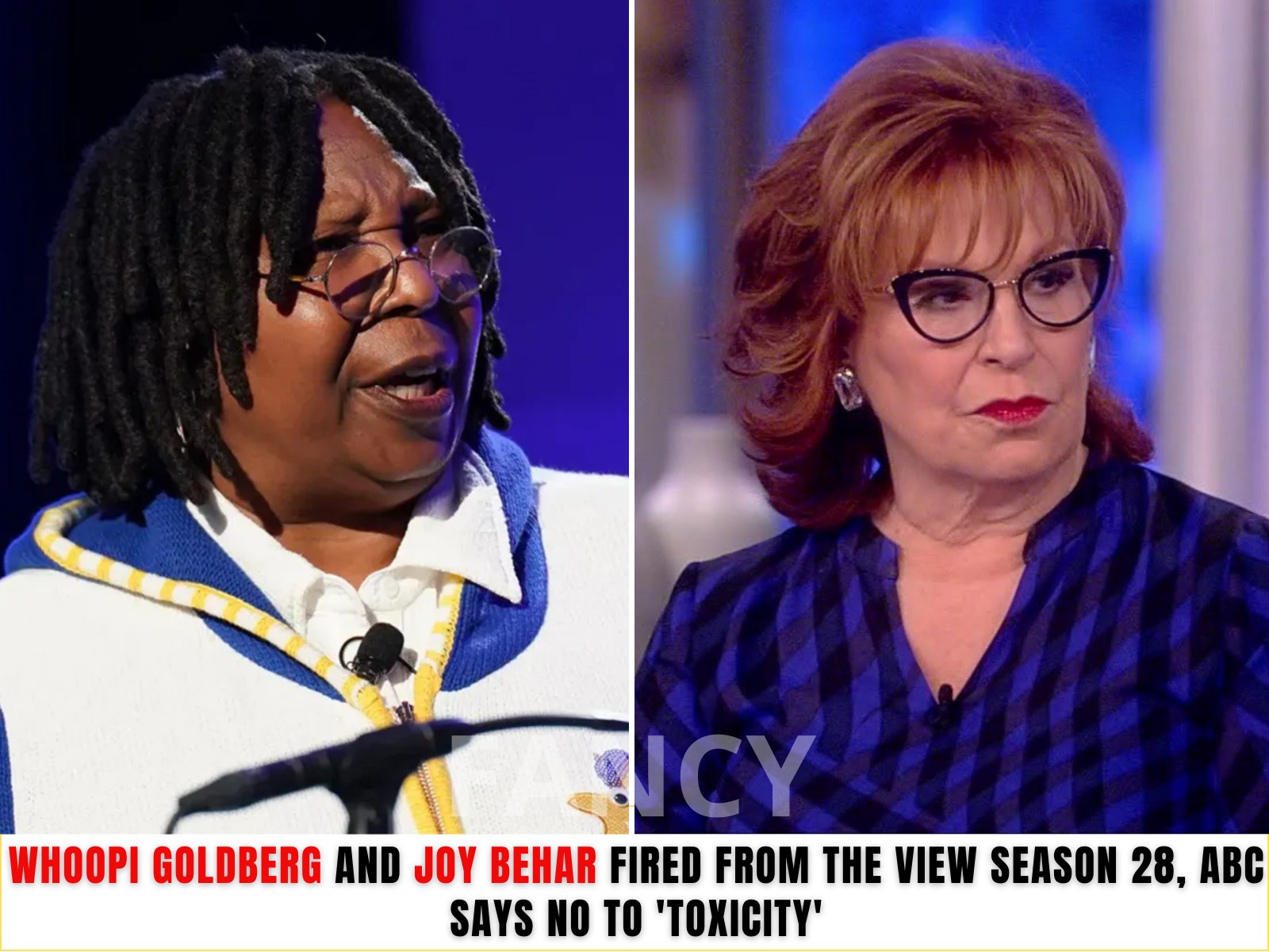 Shock: Whoopi Goldberg and Joy Behar fired from The View season 28, ABC ...