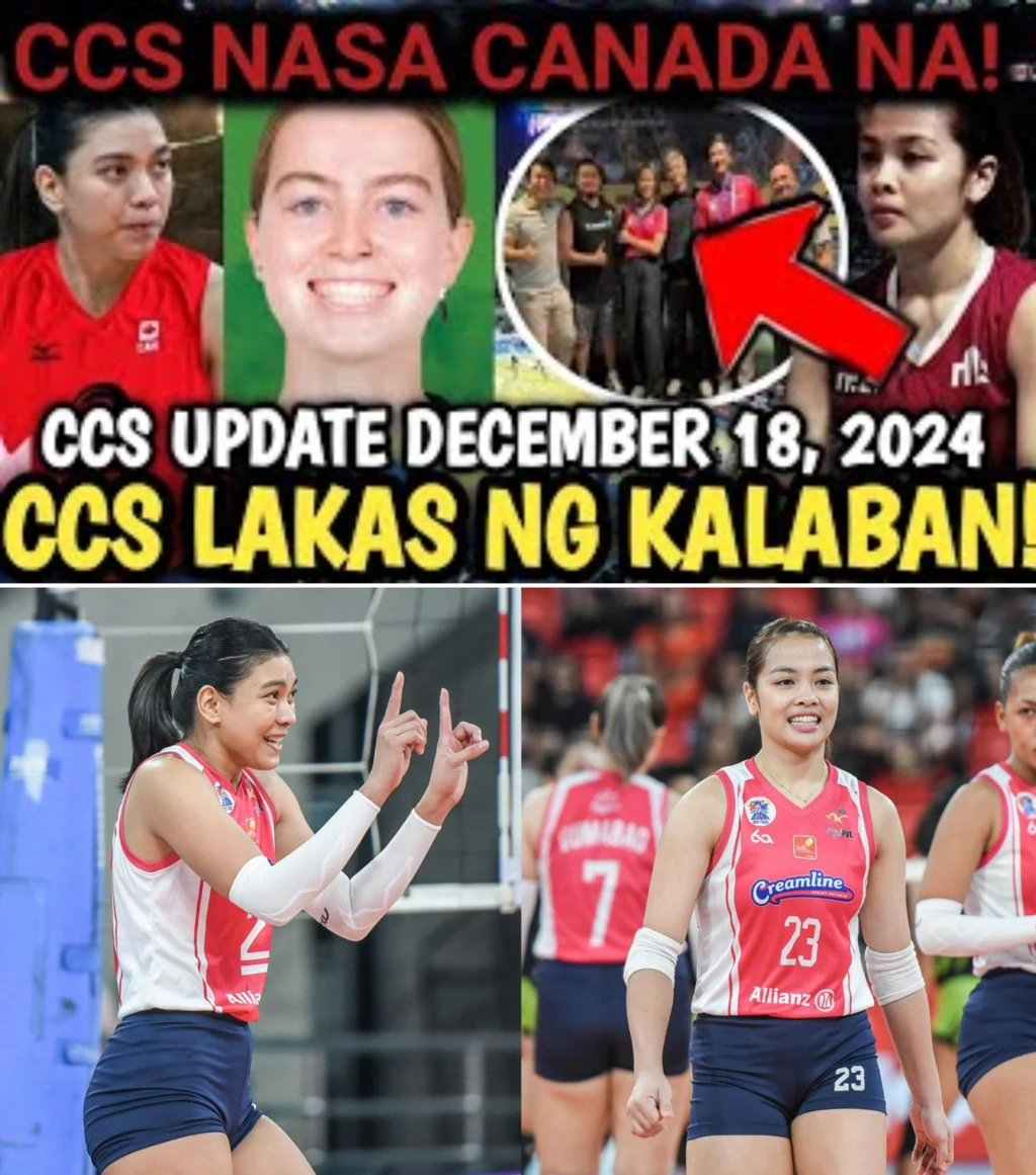 CREAMLINE VS. CANADA CLUB TEAM PREVIEW! CCS NASA CANADA NA! #creamline #alyssavaldez # ...
