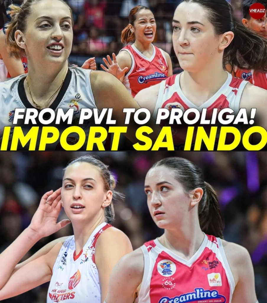 PVL IMPORTS IN INDONESIA! Erica Staunton & Elena Samoilenko MAGIGING ...