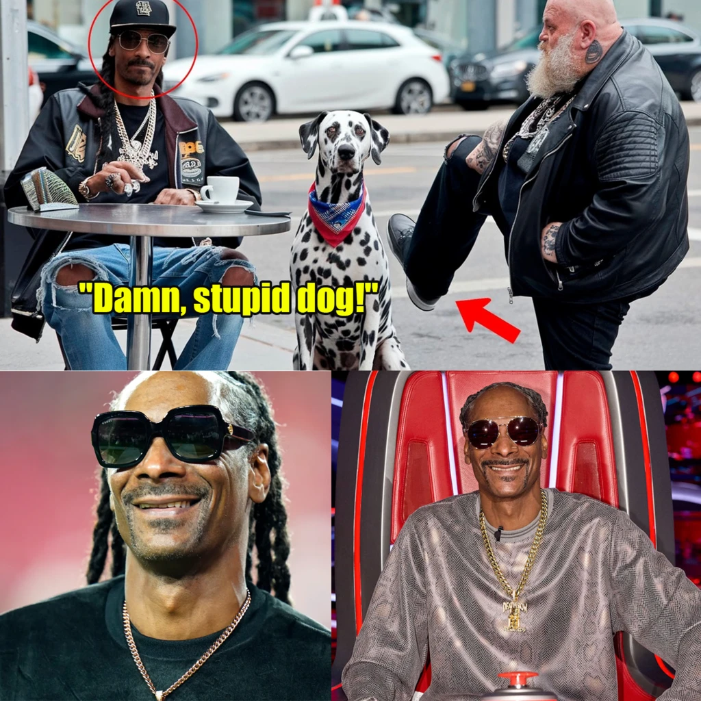 Ruthless Biker Kicked a Dog for Fun, Unaware Snoop Dogg Is the Owner - News