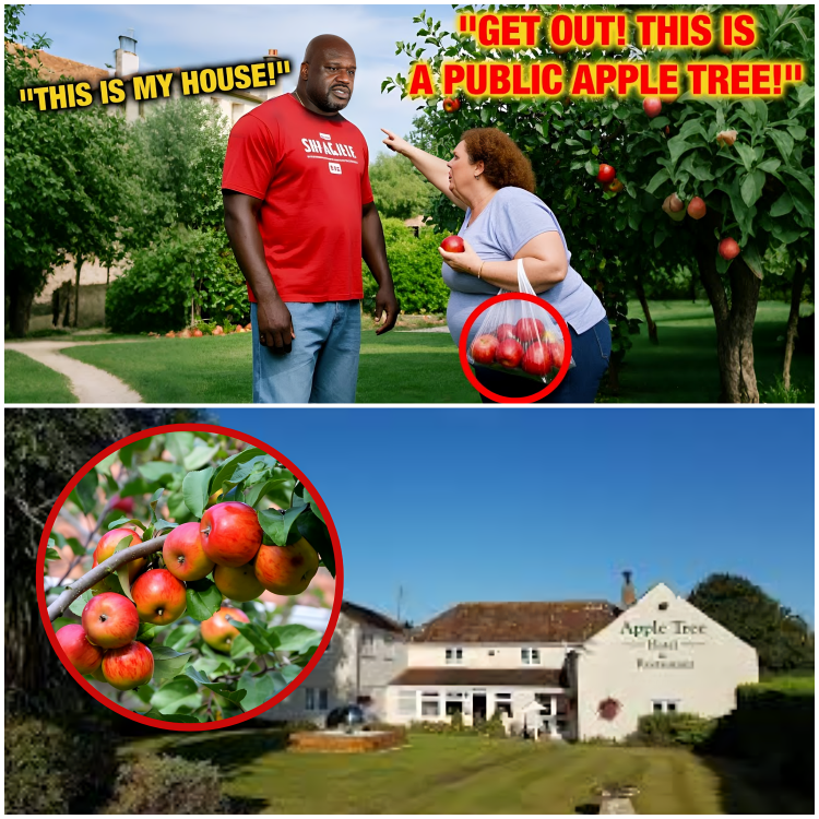 Shaquille O'Neal Defends His Peace: A Battle for Boundaries and Respect ...