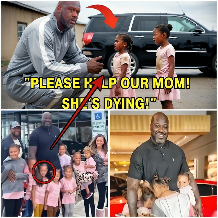 On a cold winter night in Los Angeles, Shaquille O'Neal found himself ...