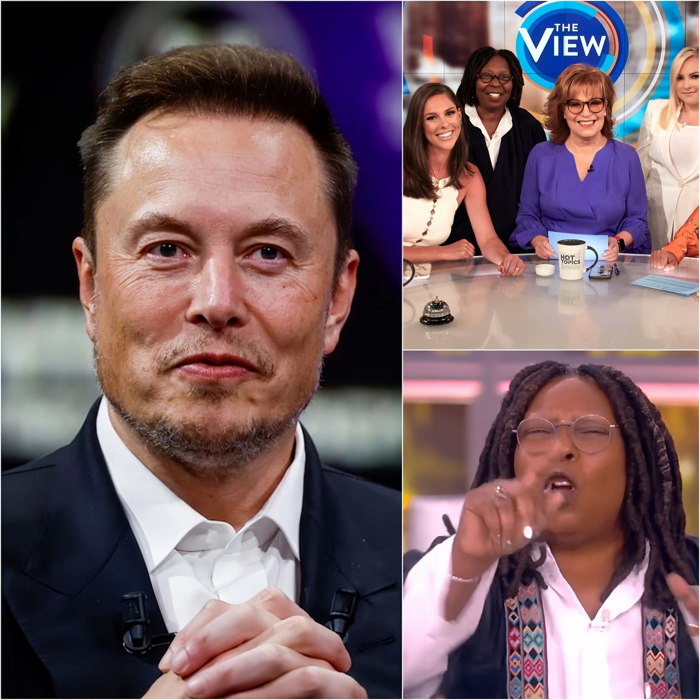 Elon Musk called for a boycott of The View, calling it “a meeting place ...