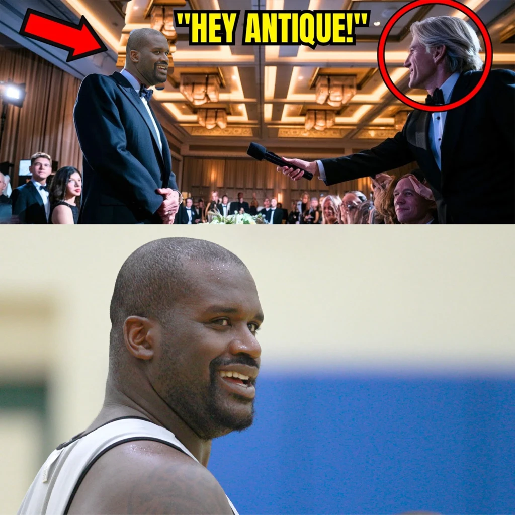 "Liberal Reporter Challenges Big Shaq – His Comeback Leaves the ...