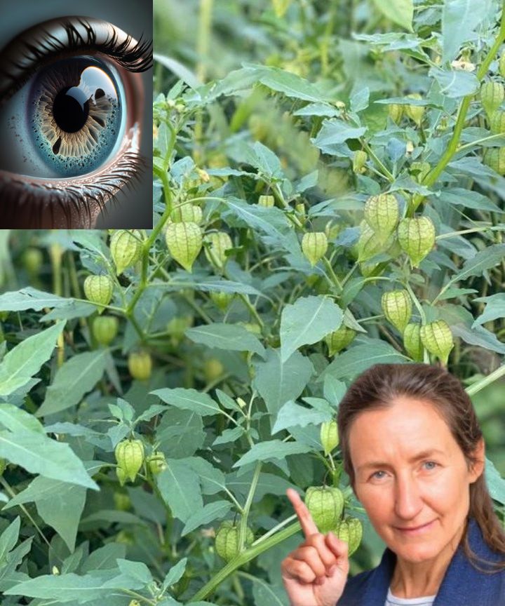 This underestimated wonder of nature is actually a real-life treasure ...