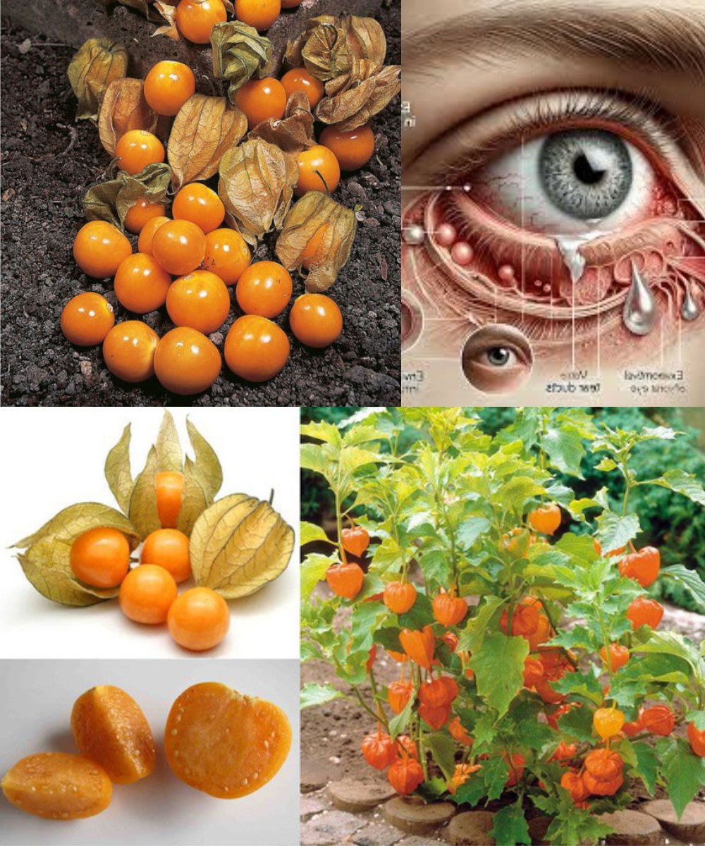 This underestimated wonder of nature is actually a real-life treasure ...