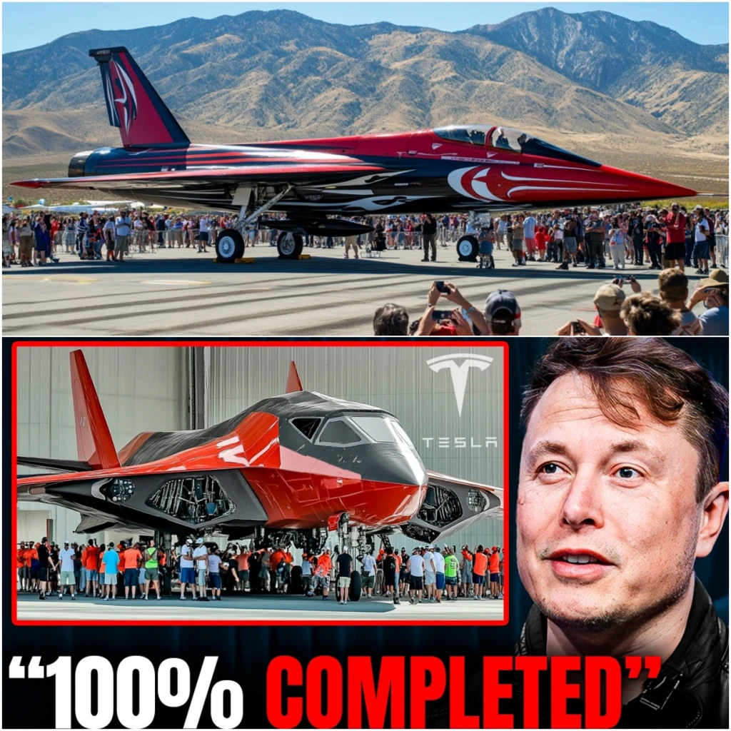 Elon Musk Unveils Groundbreaking $13 Billion Tesla Plane, With Special ...