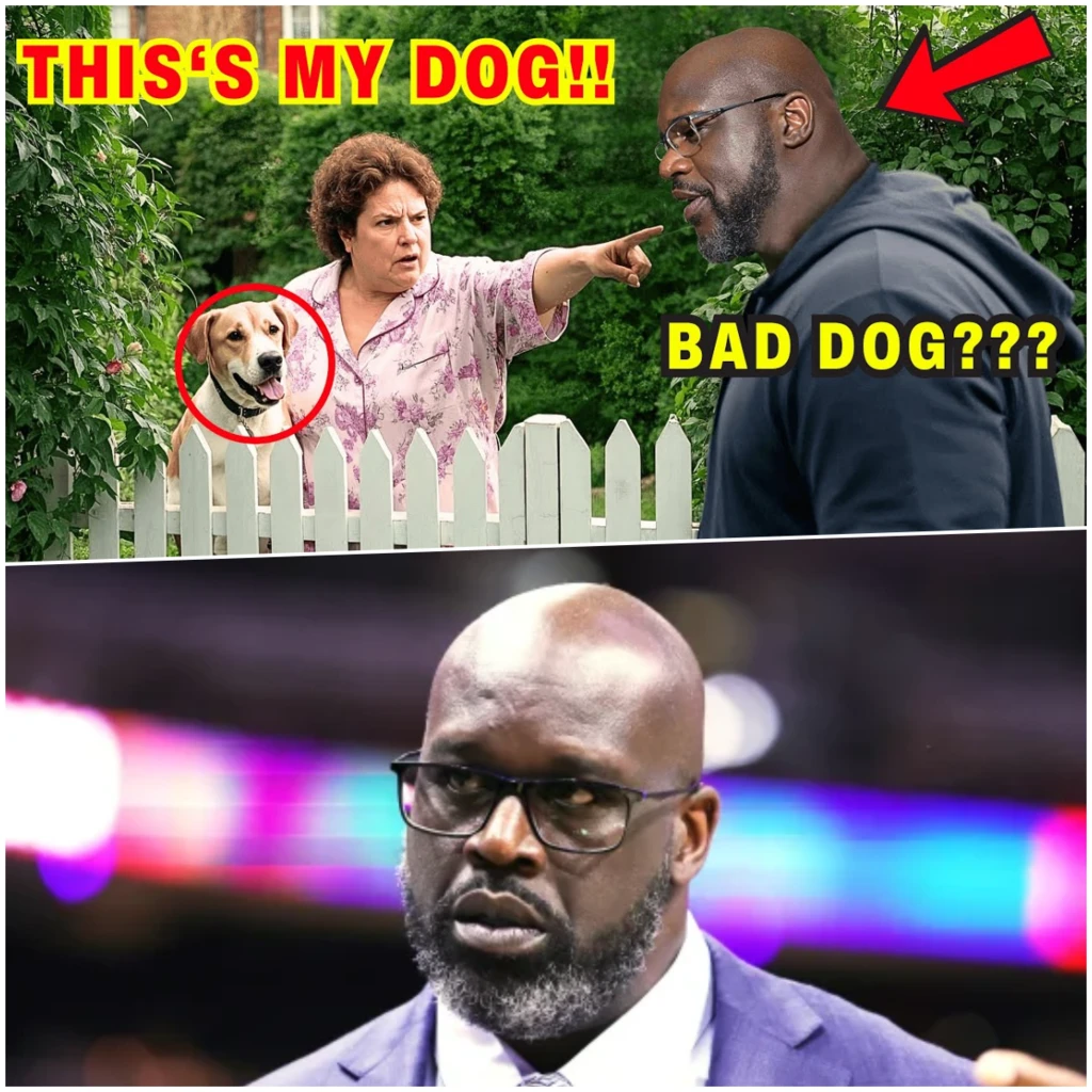 Big Shaq’s Temper Flared Over the Neighbor's Dog in the Garden—You Won ...