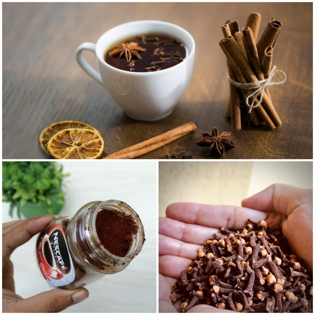The Benefits of Coffee with Cloves and How to Make It - News