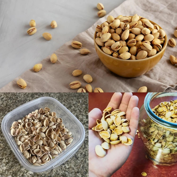Reusing Pistachio Shells: How to Turn Them Into Powder and Use It in ...