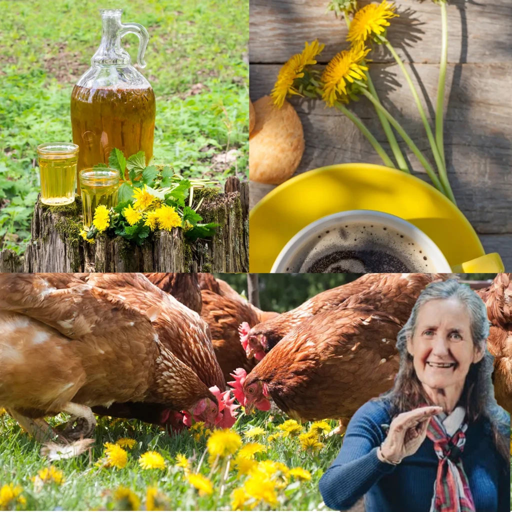 The plant you see in the picture is called Dandelion and is one of the ...