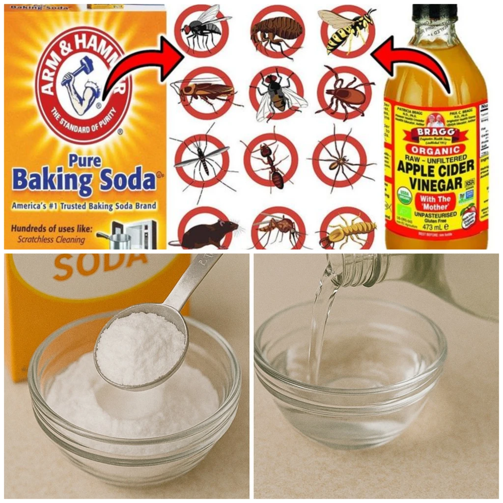 Baking Soda To Kill Fleas