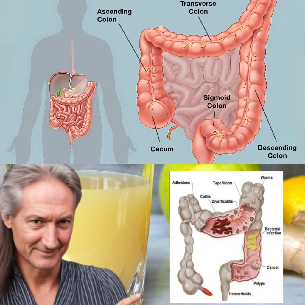 How to Clean Your Colon and Remove Waste Naturally - News
