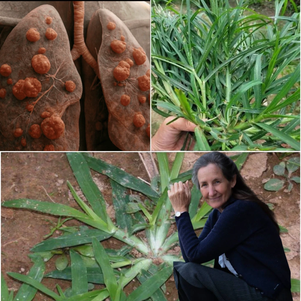 My Grandma explained the hidden old secret behind the power of this ...